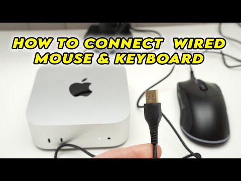 Can We Connect a Mouse to a Monitor? – ACHIVX