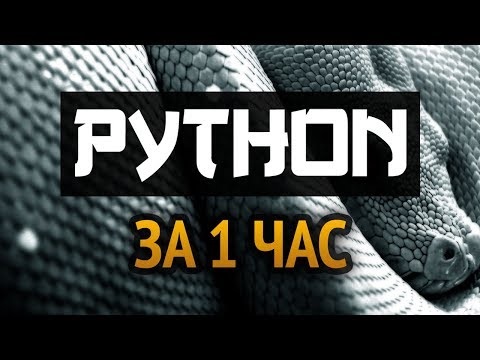 Что Компилирует Код Python? — ACHIVX