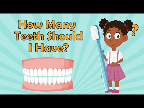 Do Elves Have Teeth? — ACHIVX