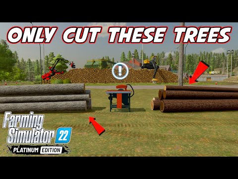 How Long Do Trees Grow in Farming Simulator? — ACHIVX