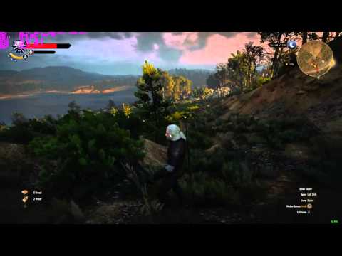 How to Enable FPS in The Witcher 3? – ACHIVX