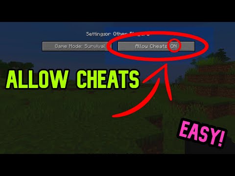 How to Fly in Minecraft Without Cheats? — ACHIVX
