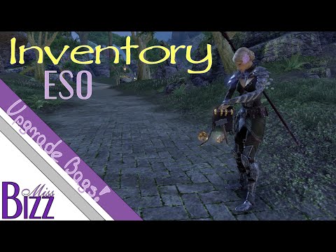 How to Get Bank Storage in ESO? — ACHIVX
