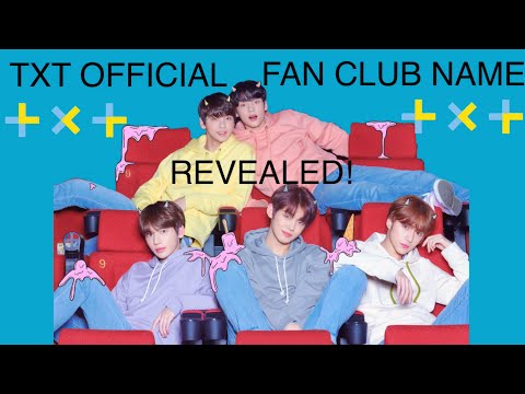 What are TXT fans called? — ACHIVX
