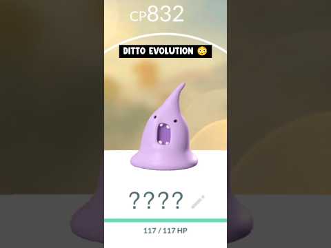 What is Ditto's Next Evolution? — ACHIVX