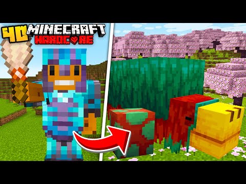 What is Minecraft 1.20 update called? — ACHIVX