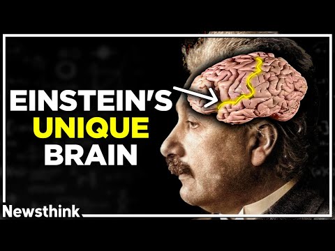 What was Albert Einstein's IQ? — ACHIVX