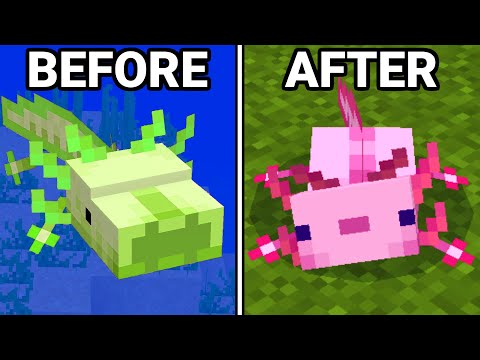 What Was Removed From Minecraft? — ACHIVX