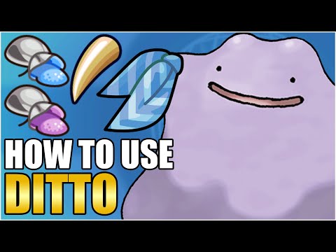 Which Pokémon Transform Into Ditto? — ACHIVX