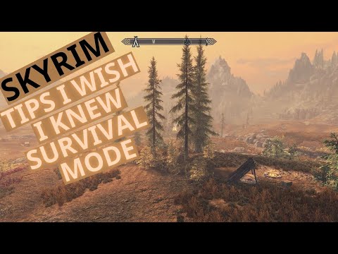 Which Skyrim Version is Best for Mods? — ACHIVX