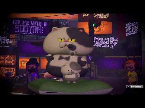 Who is the Cat in Splatoon? — ACHIVX