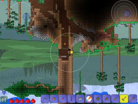 Why Am I Upside Down in Terraria? — ACHIVX