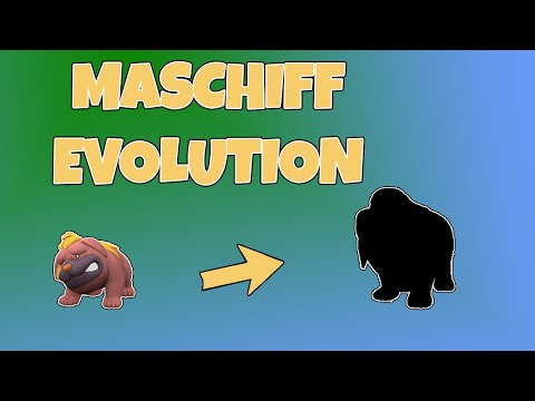 Does Maschiff Evolve? — ACHIVX