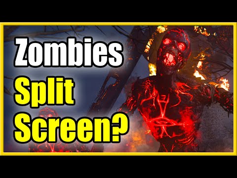 Does Vanguard Zombies have split screen on PC? — ACHIVX