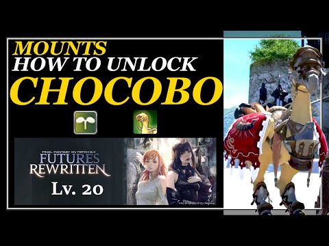 How to Summon a Mount in FF? — ACHIVX