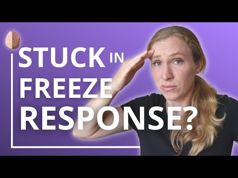 What is Freeze Response? — ACHIVX