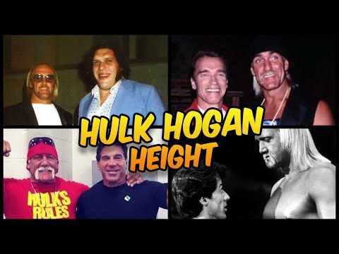 What is Hulk's Height? — ACHIVX