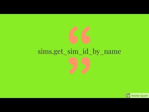 What is My Sims ID? — ACHIVX
