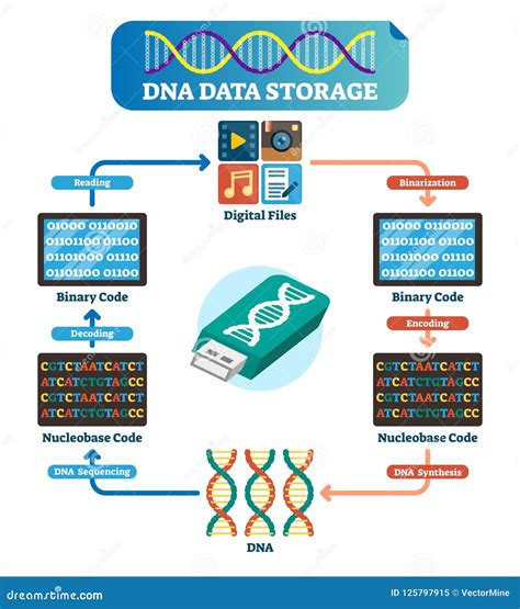 What is the Storage Capacity of DNA? — ACHIVX