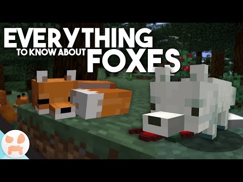 Where do foxes spawn in Minecraft? – ACHIVX