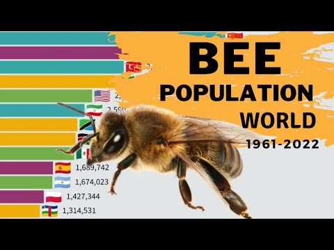 Which country has the largest bee population? – ACHIVX