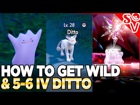 How to Get 6 Perfect IV Pokémon? – ACHIVX