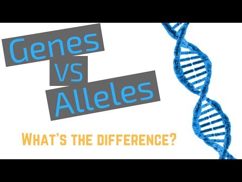 What is the difference between the Treska gene and the standard? – ACHIVX