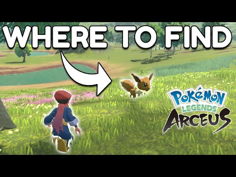Where is Eevee in Arceus? – ACHIVX