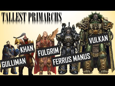 What is the height of the Primarchs? – ACHIVX